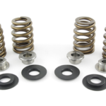 CAN-AM | BPR - Valve Spring Kits | AV-V