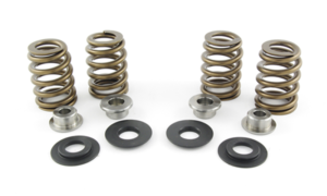 CAN-AM | BPR - Valve Spring Kits | AV-V